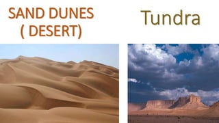 Short pwp slides about Saudi Arabia | PPTX