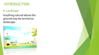 LANDSCAPE INTRODUCTION.pptx
