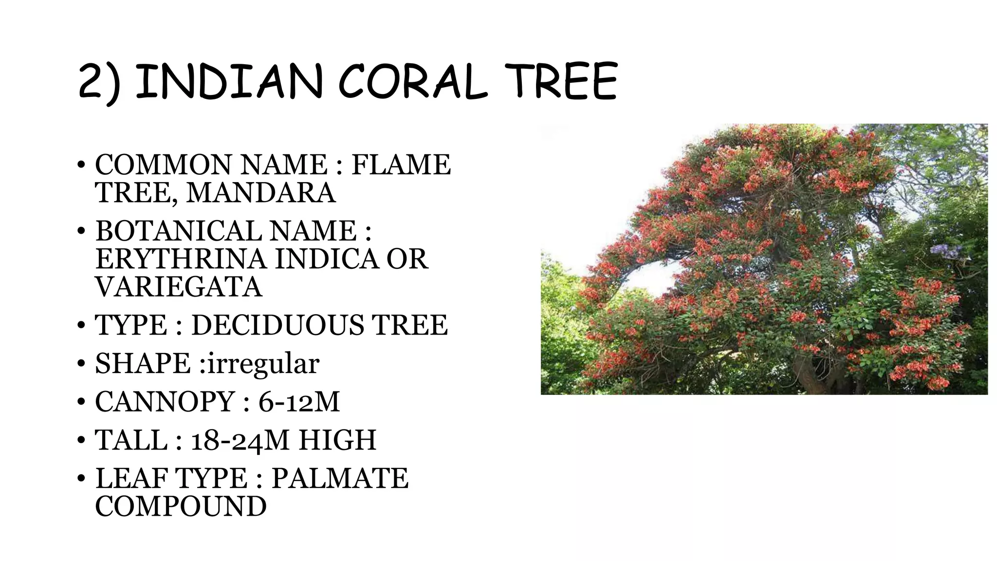 LANDSCAPE INTRODUCTION OF TREES, SHURBS,CLIMBERS AND CREEPS IN INDIA.pptx