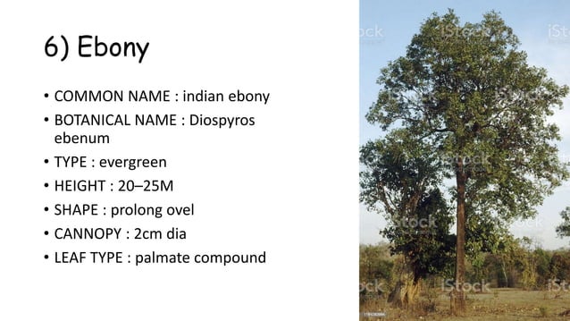 LANDSCAPE INTRODUCTION OF TREES, SHURBS,CLIMBERS AND CREEPS IN INDIA.pptx