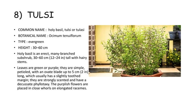 LANDSCAPE INTRODUCTION OF TREES, SHURBS,CLIMBERS AND CREEPS IN INDIA.pptx