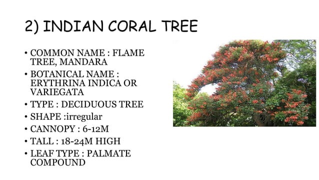 LANDSCAPE INTRODUCTION OF TREES, SHURBS,CLIMBERS AND CREEPS IN INDIA.pptx