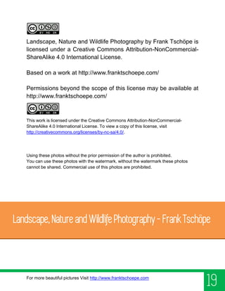 Landscape, Nature and Wildlife Photography by Frank Tschöpe | PDF | Photography | Arts and Crafts