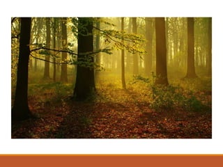 LANDSCAPE PHOTOGRAPHY.ppt