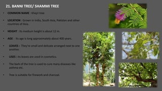 Landscape architecture | PPT