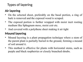 Propagation of trees in landscape and it's methods | PPT