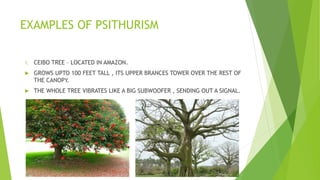 LANDSCAPE PPT POOJA. ARCHITECTURE DESIGN | PPTX