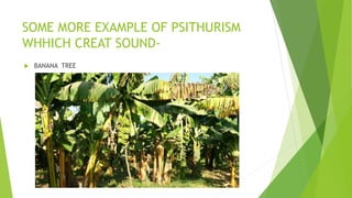 LANDSCAPE PPT POOJA. ARCHITECTURE DESIGN | PPTX