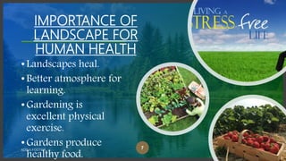 Environmental Sciences-Landscapes | PPTX