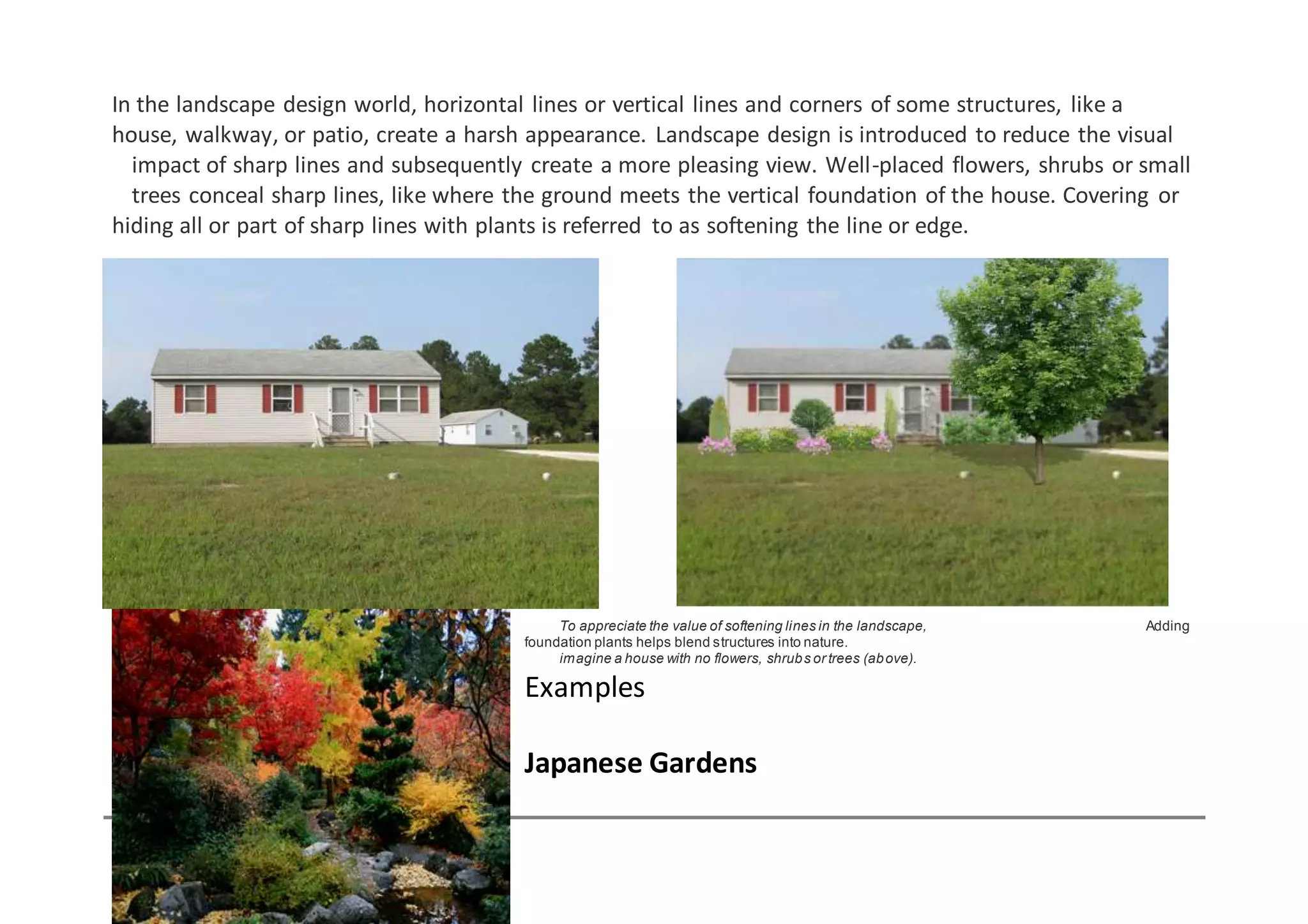Landscape Design Elements - Line | DOCX