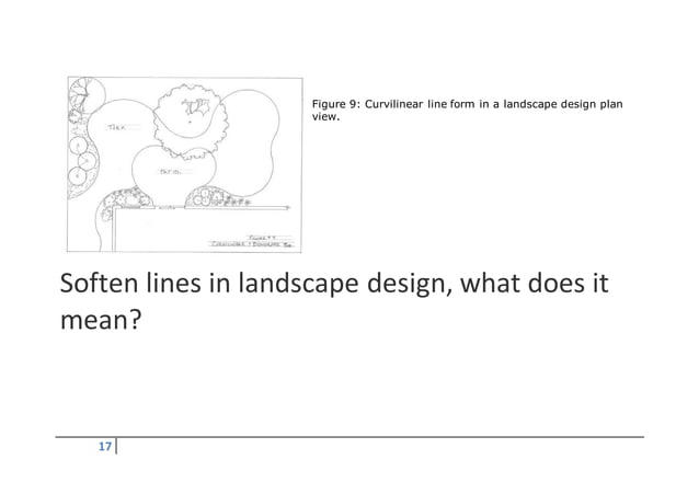 Landscape Design Elements - Line | DOCX