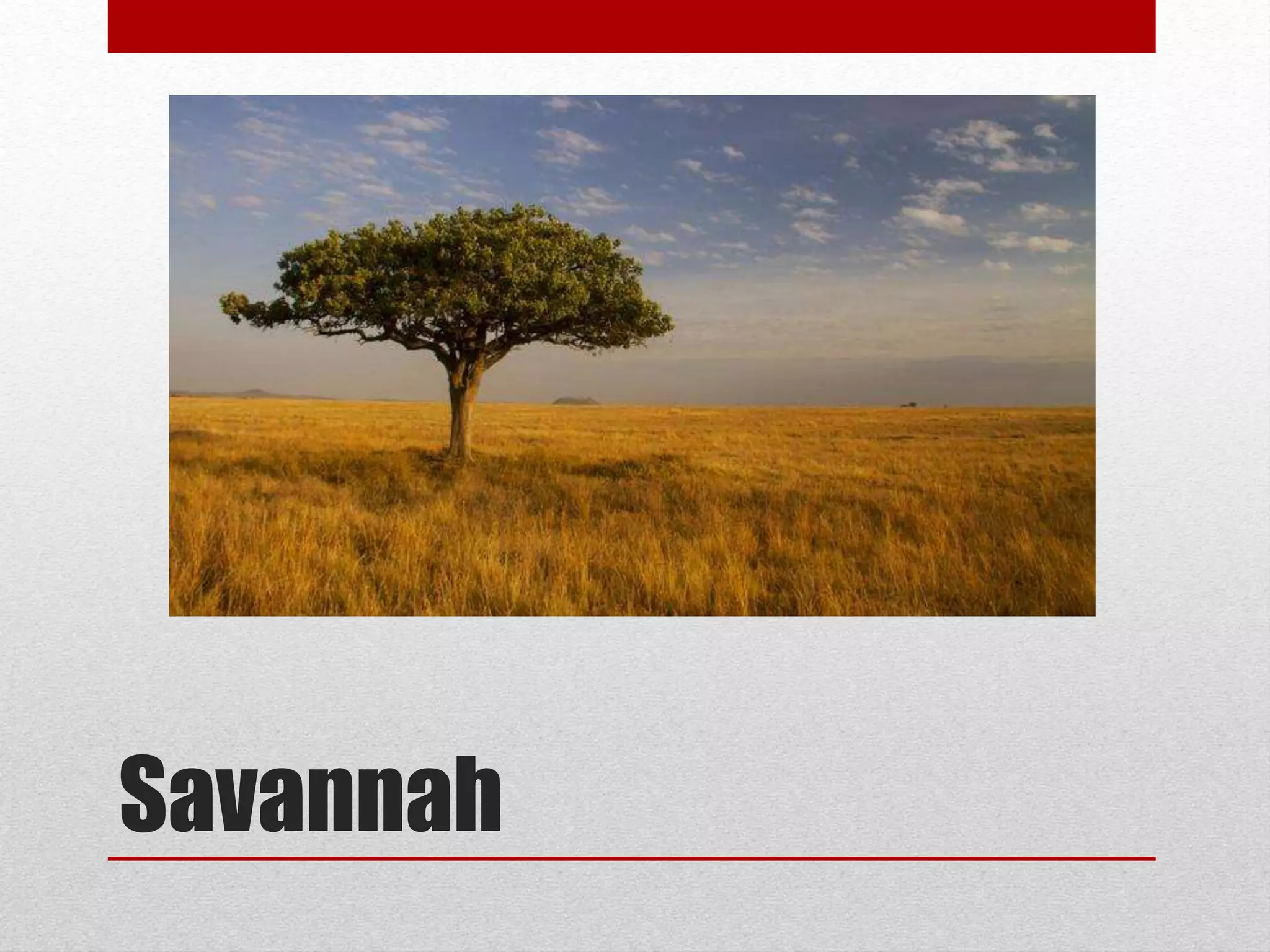 ESL Landscape Vocabulary | PPTX