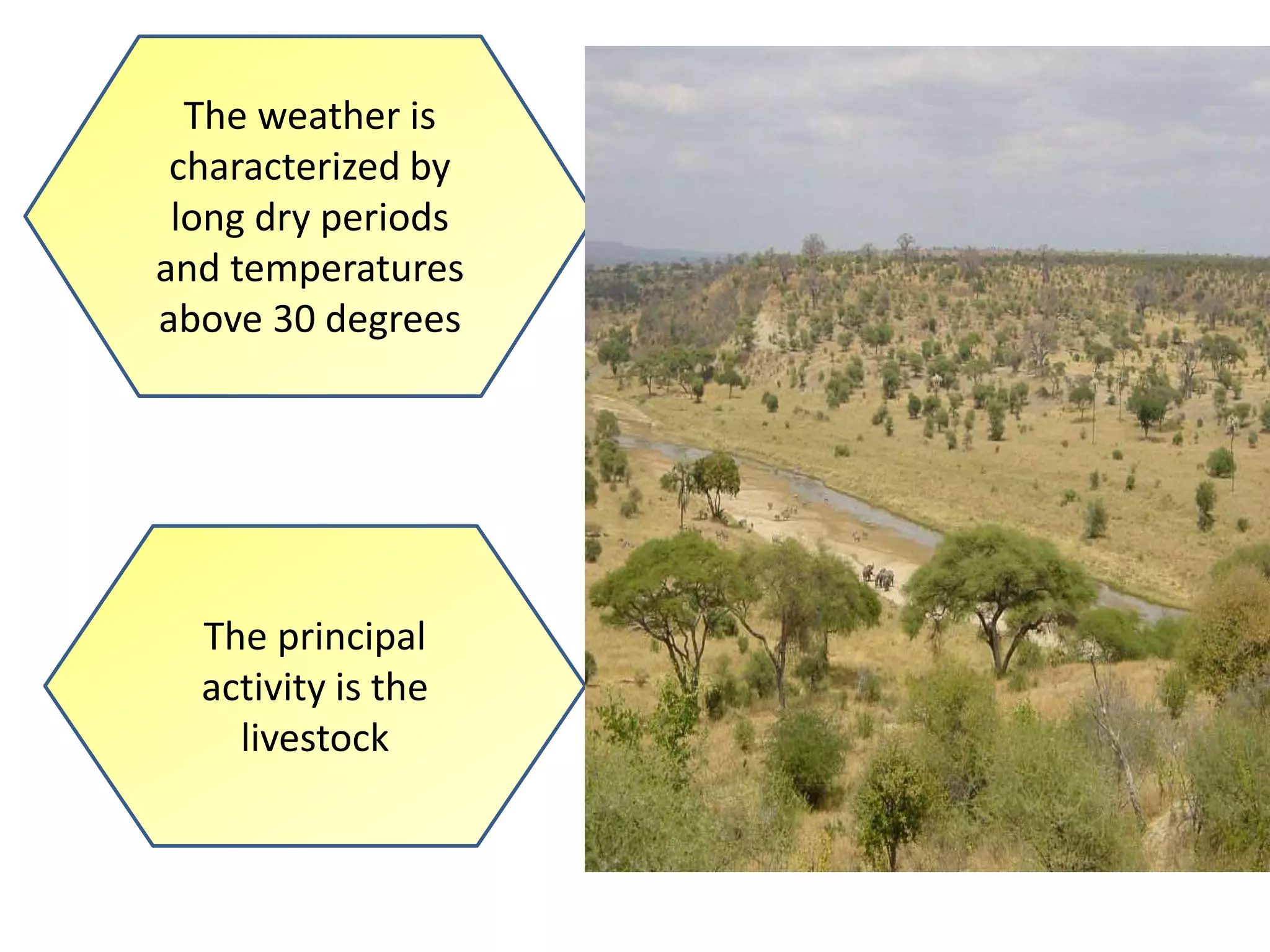 Landscapes around the world. | PPTX