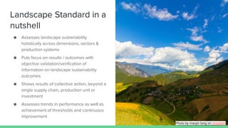 Landscape Standard (LS): A global framework to drive environmental ...