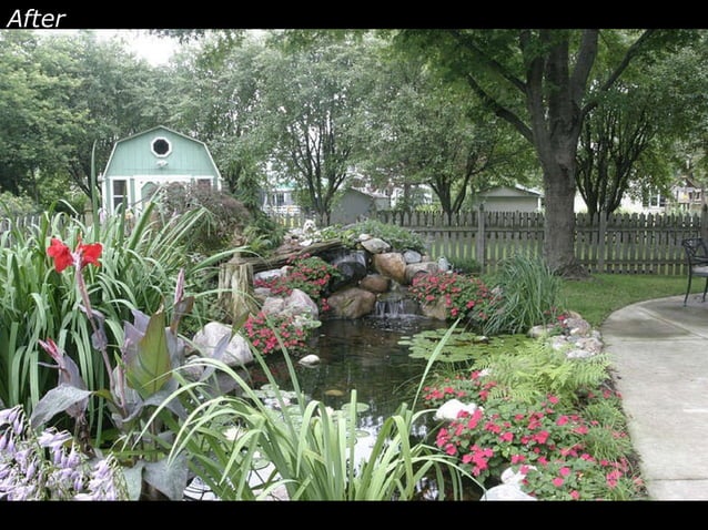 Landscape Transformations | PPT