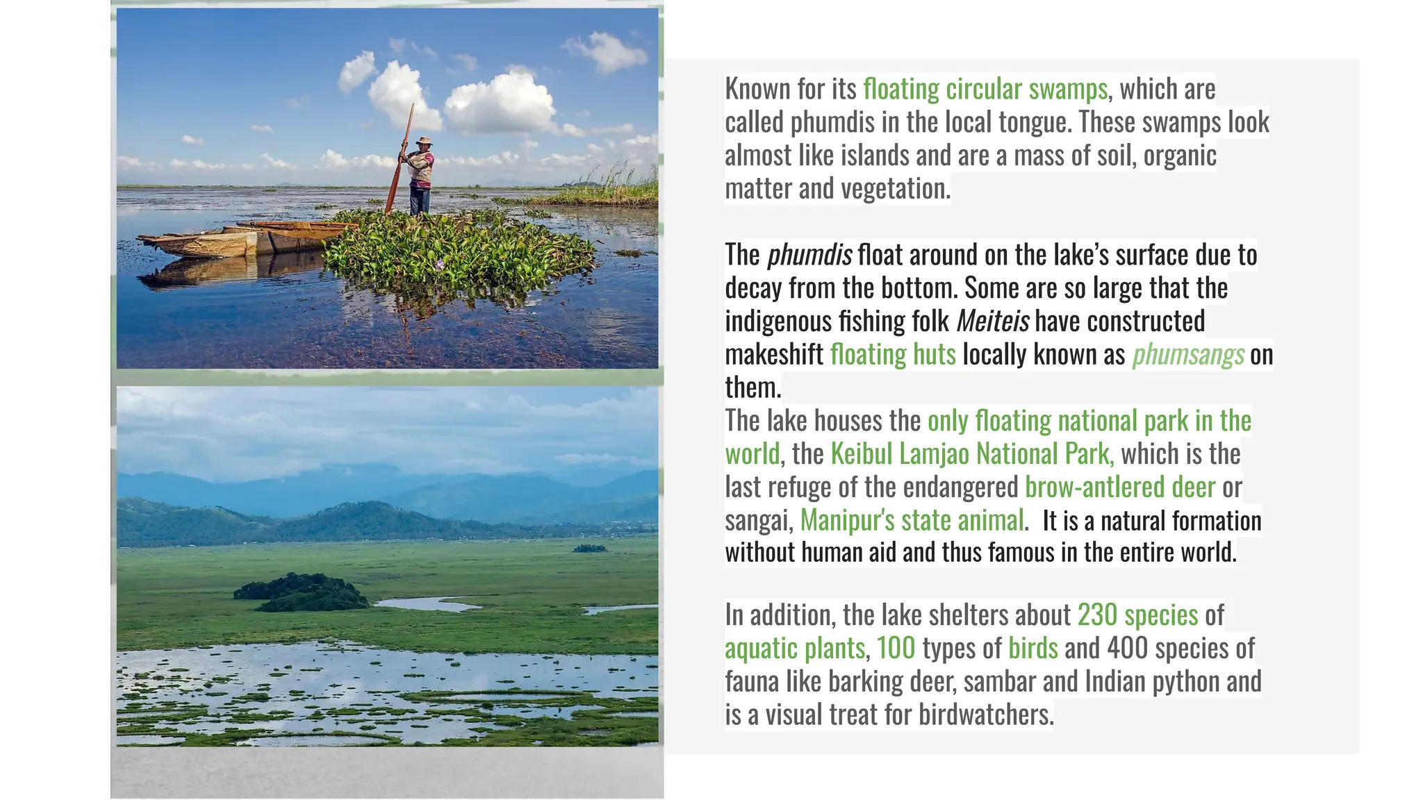 Case study of landscape of Loktak Lake in Manipur .pdf