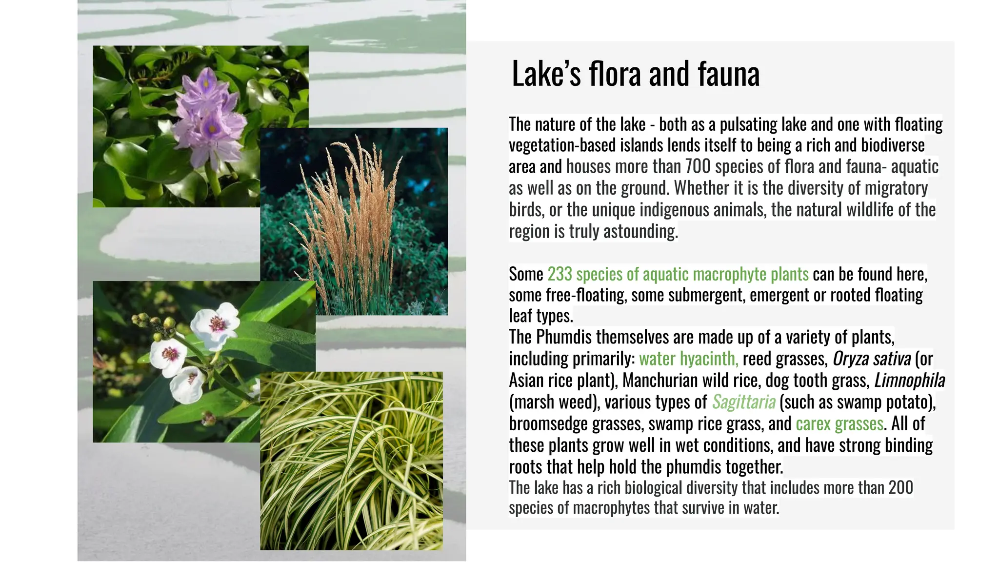 Case study of landscape of Loktak Lake in Manipur .pdf