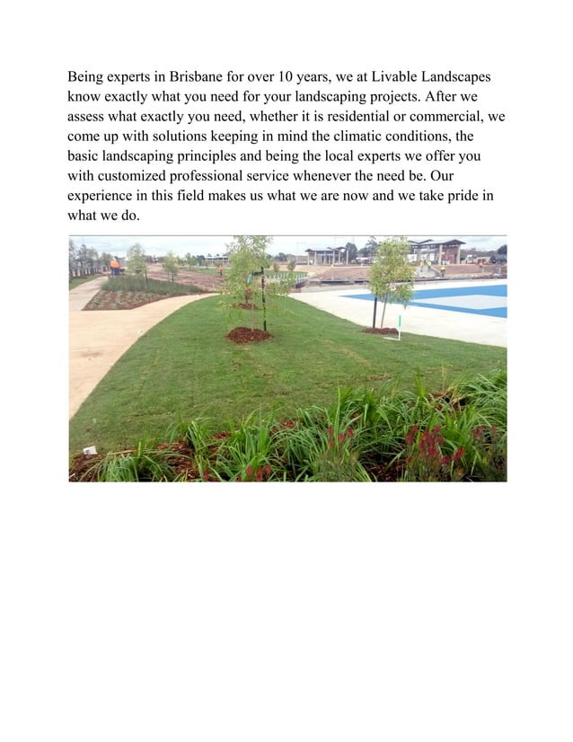 Basic Principles Of Landscaping | PDF