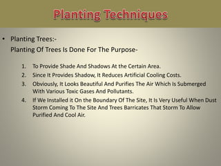 Landscaping architecture- About Trees | PPTX