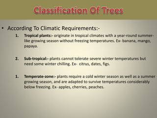 Landscaping architecture- About Trees | PPTX