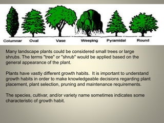 Landscaping architecture- About Trees | PPTX
