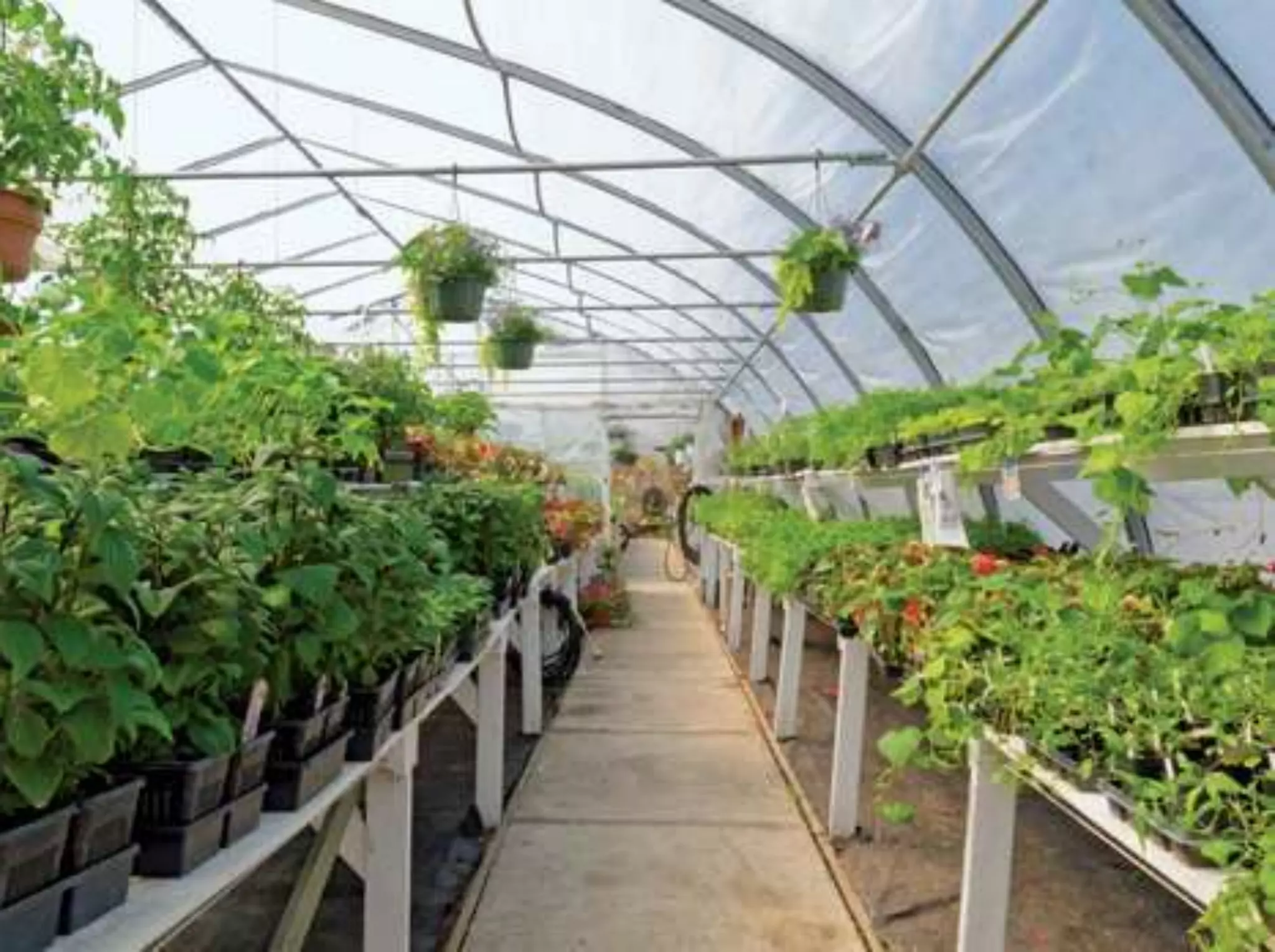 Chapter 1: Introduction of landscape horticulture and it's design | PPTX