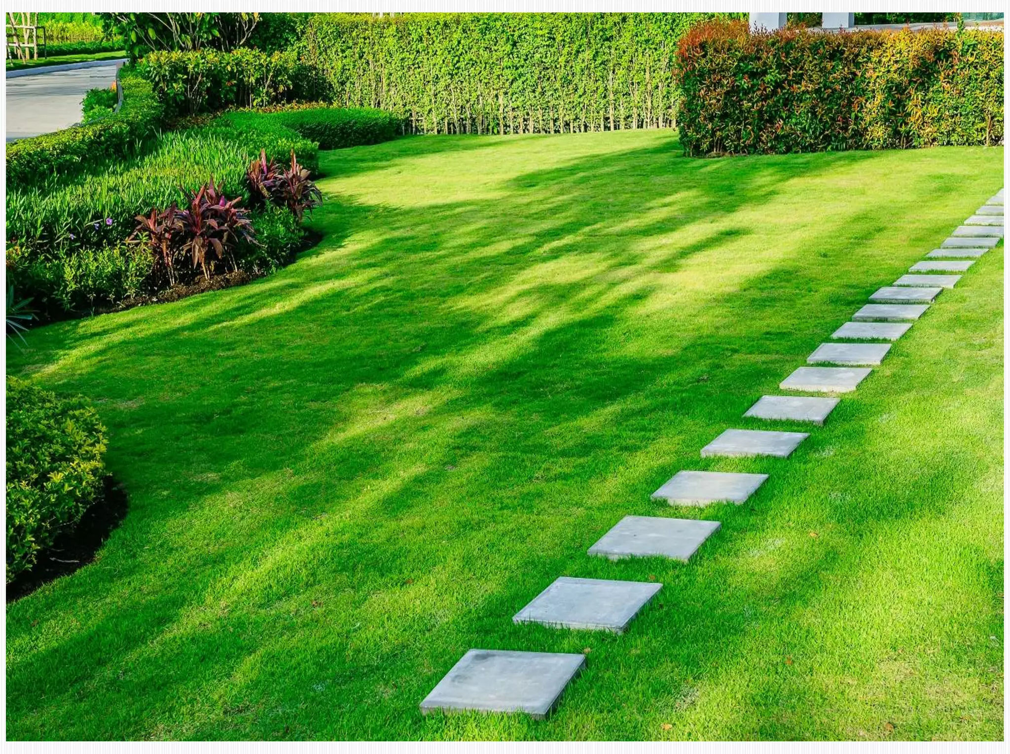 Chapter 1: Introduction of landscape horticulture and it's design | PPTX