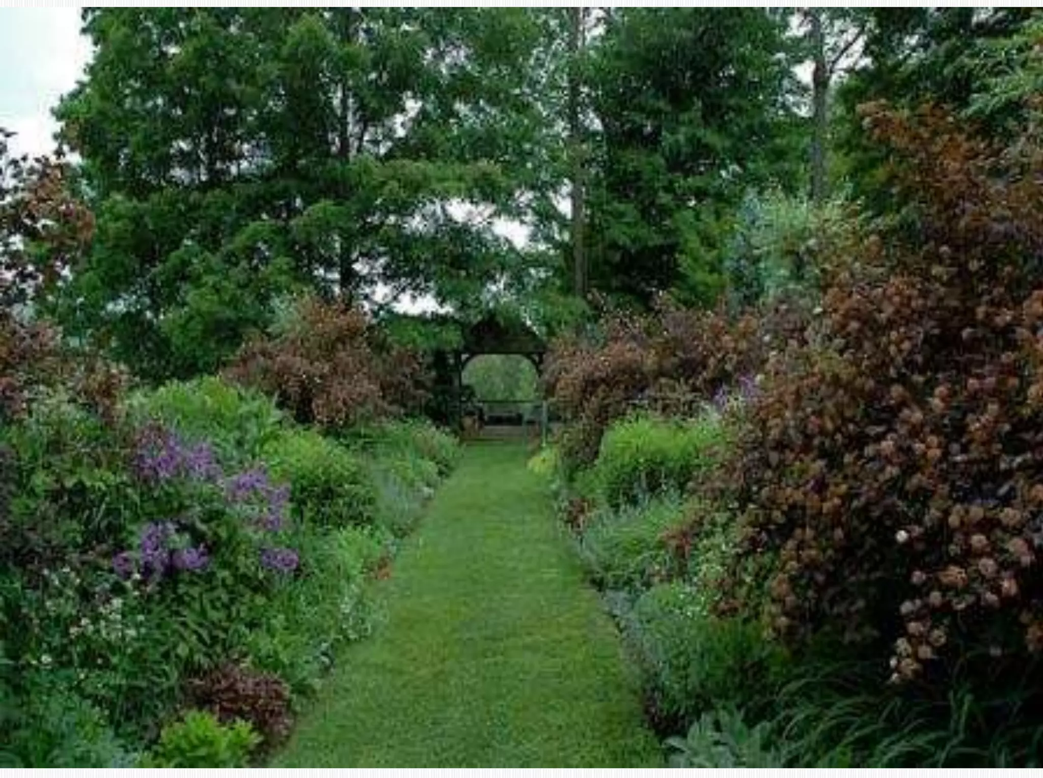 Chapter 1: Introduction of landscape horticulture and it's design | PPTX