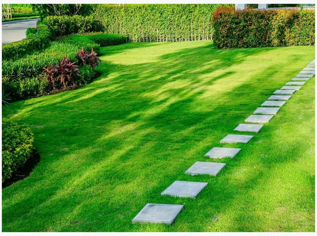 Chapter 1: Introduction of landscape horticulture and it's design ...