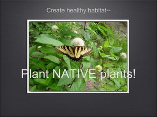 Landscaping for Wildlife | PPT