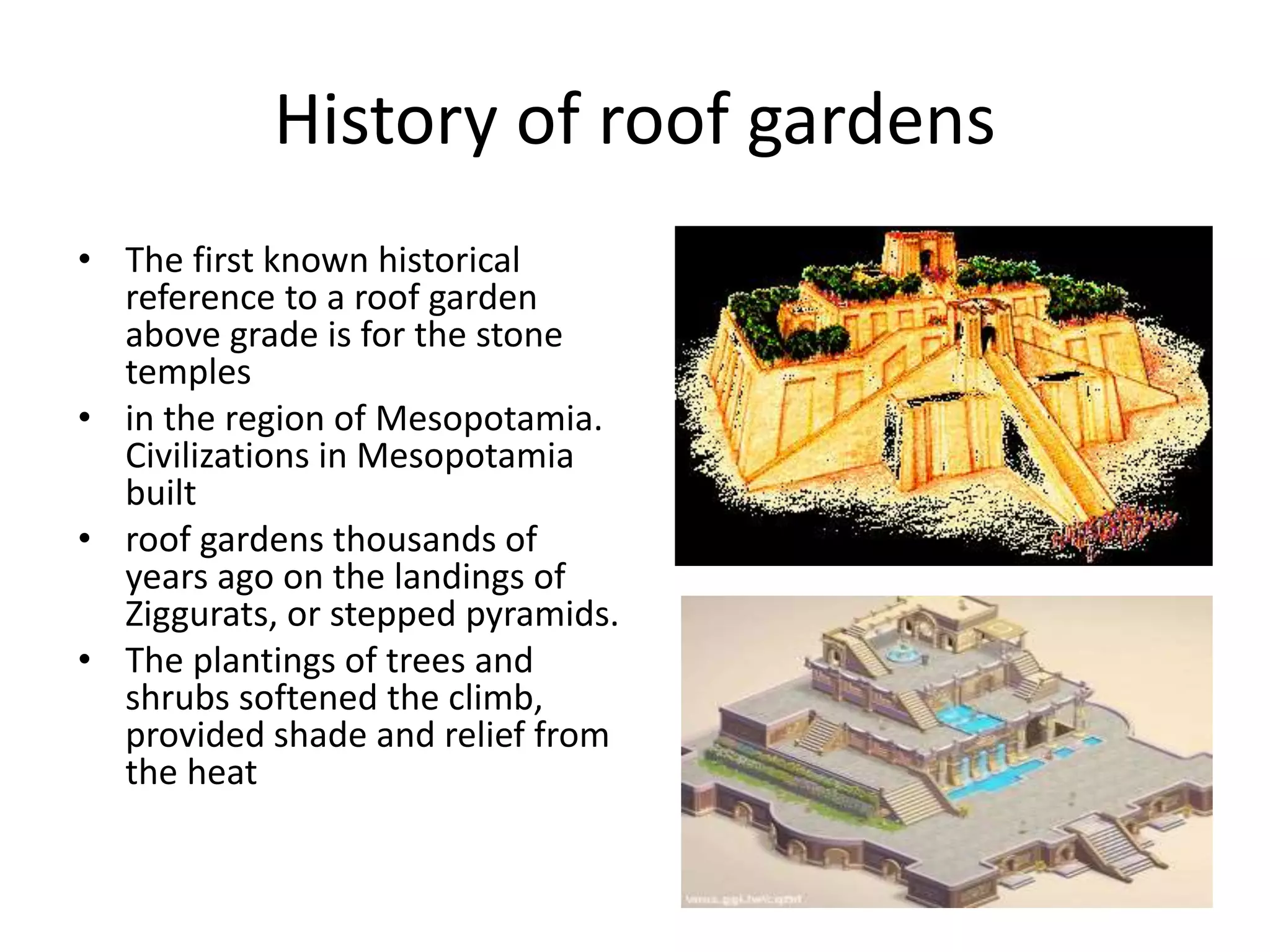 Terrace Garden / Green Roof | PPTX