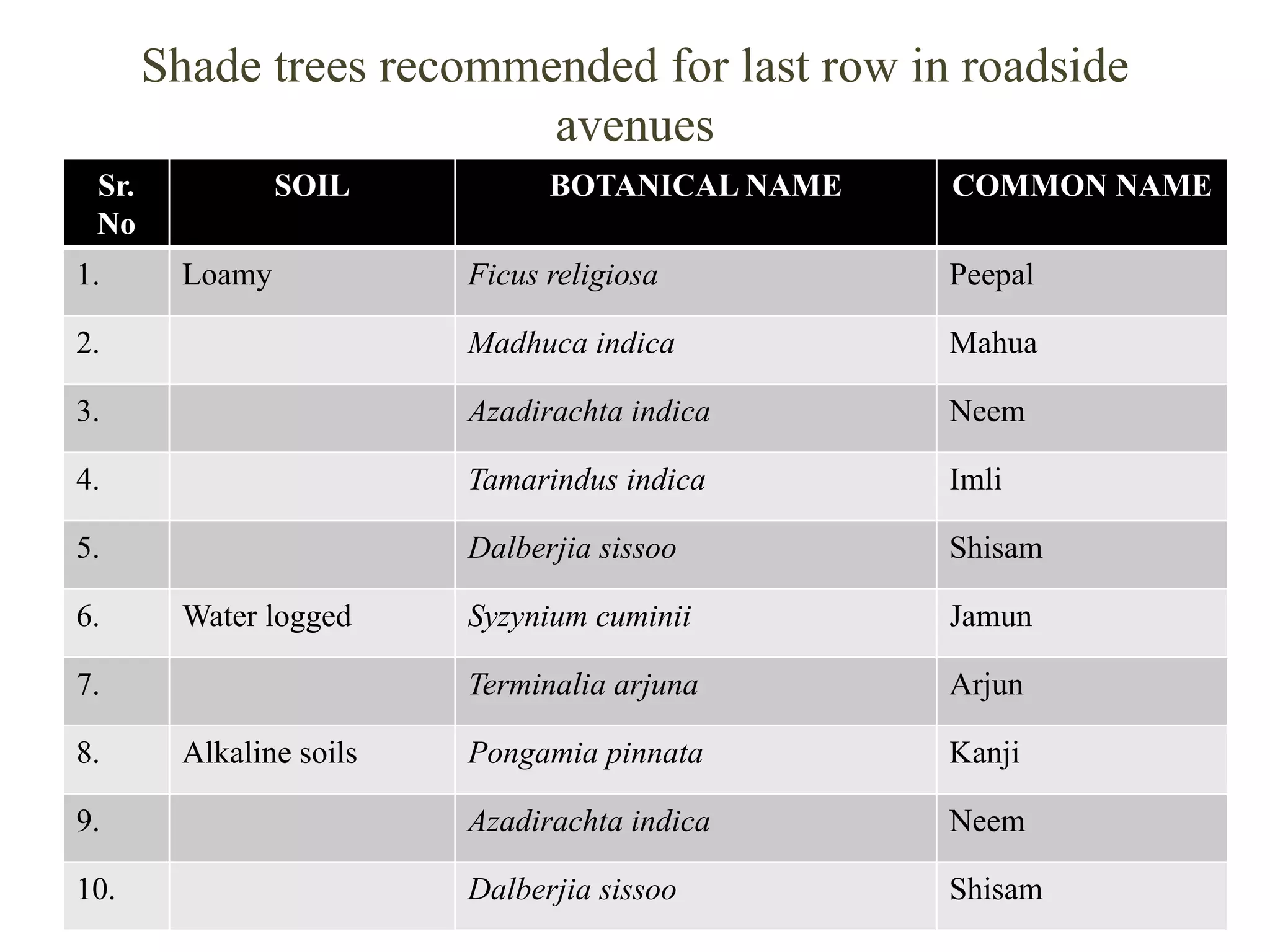 Landscaping on highway | PPTX