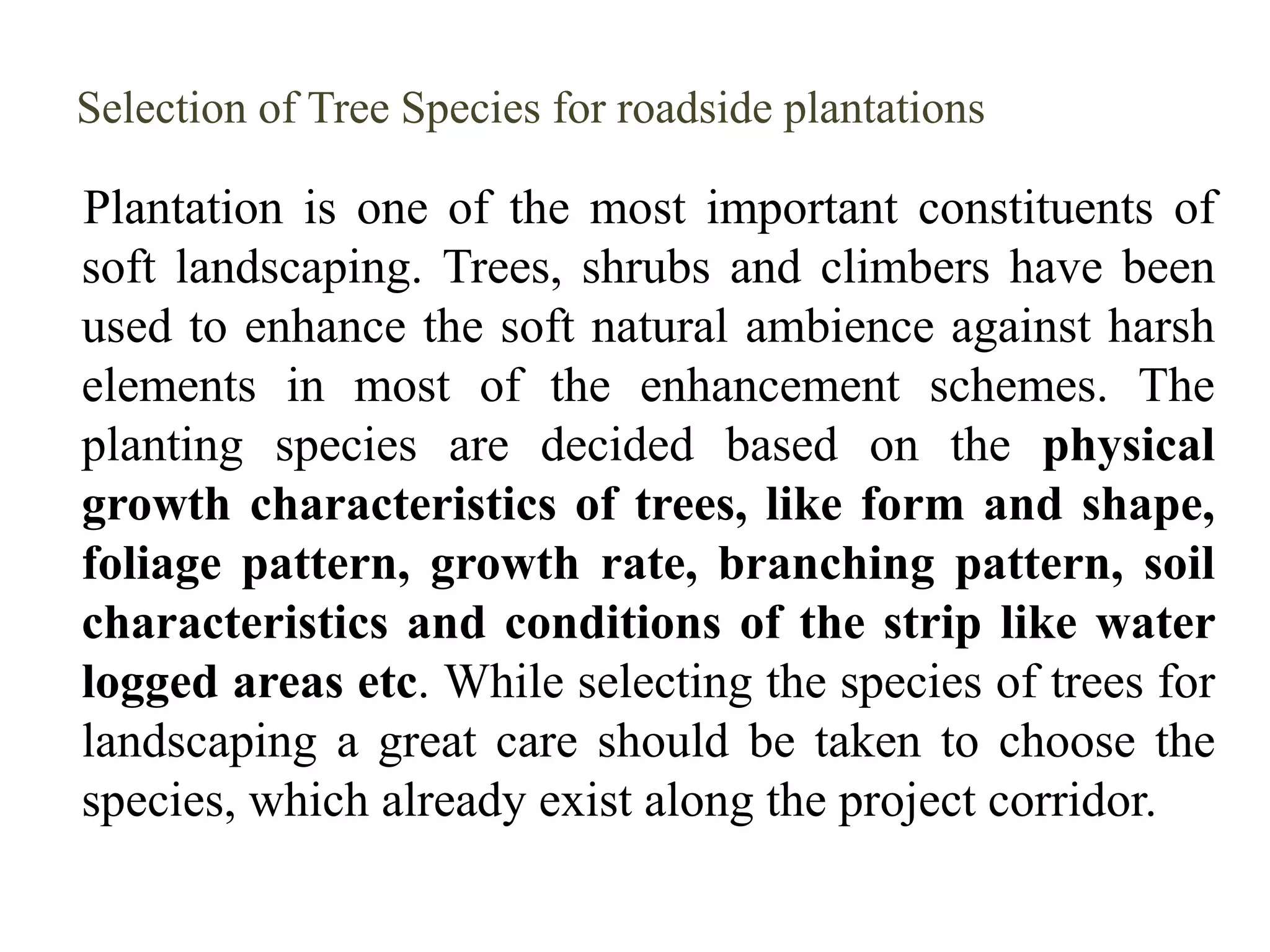 Landscaping on highway | PPTX