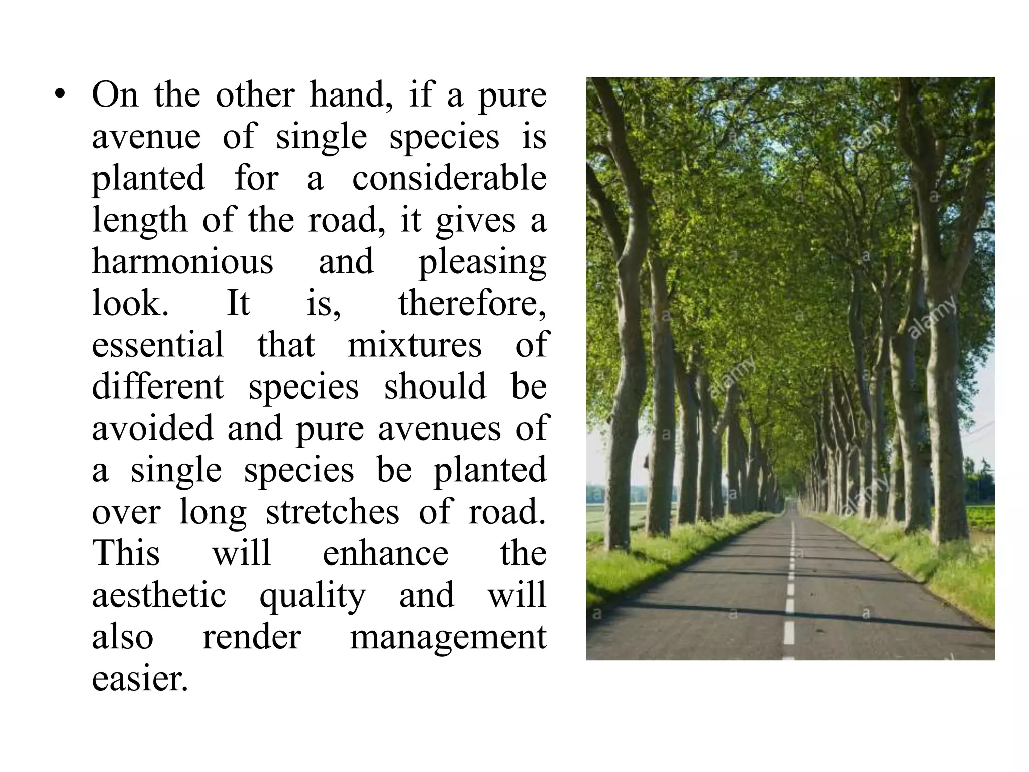 Landscaping on highway | PPTX