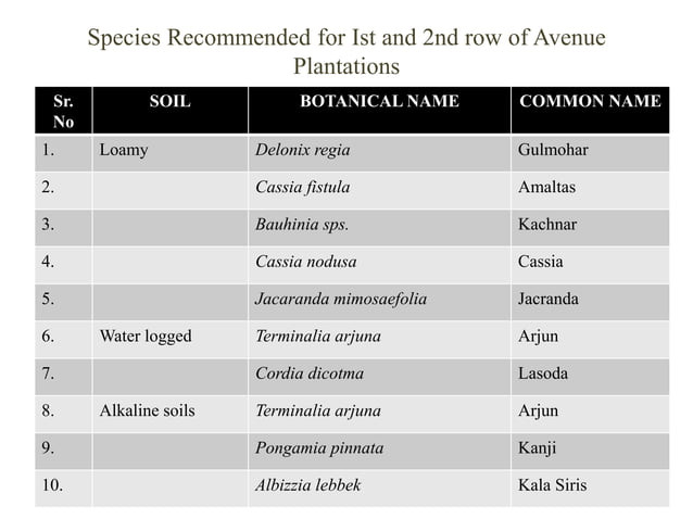 Landscaping on highway | PPTX