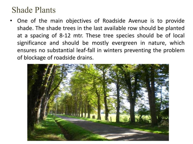 Landscaping on highway | PPTX