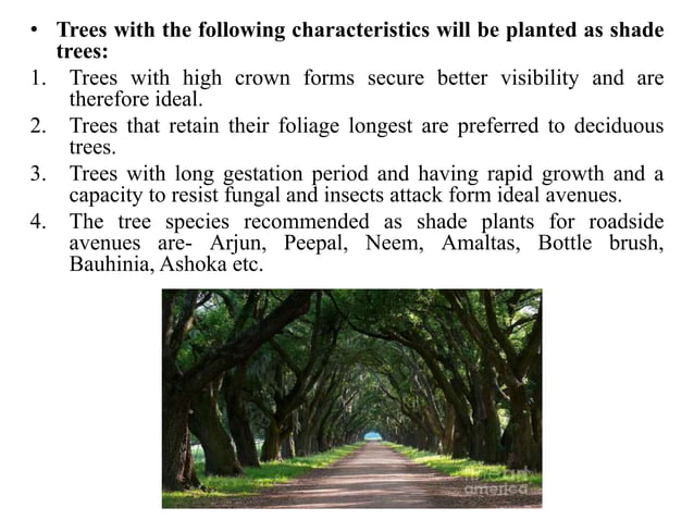 Landscaping on highway | PPTX