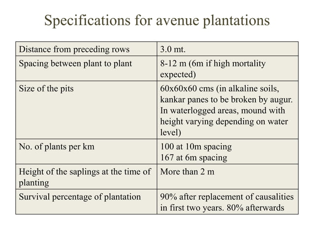 Landscaping on highway | PPTX