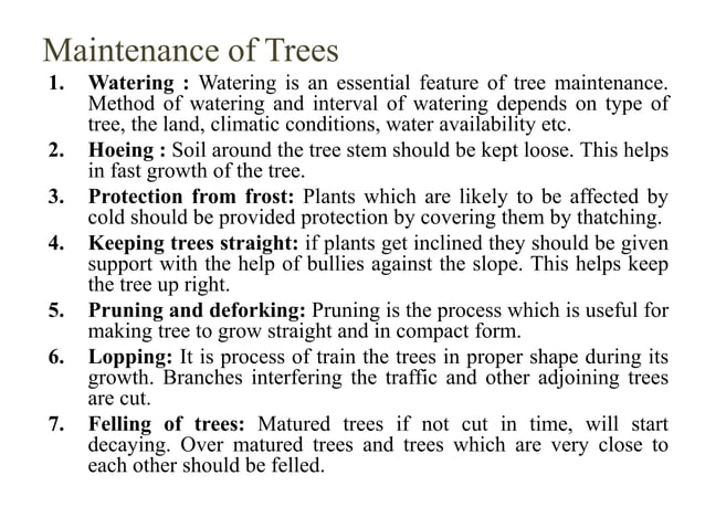 Landscaping on highway | PPTX