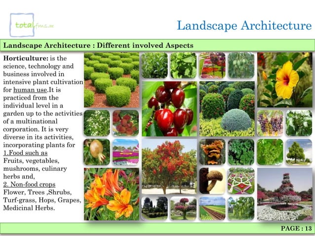 Landscaping Architecture | PPTX | Gardening | Home & Garden
