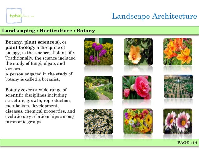 Landscaping Architecture | PPTX | Gardening | Home & Garden