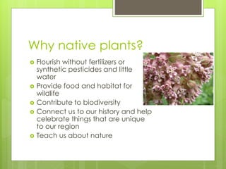 Landscaping with native plants | PPTX