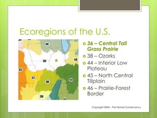 Landscaping with native plants | PPTX
