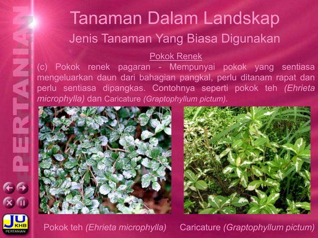 Landskap | PPTX