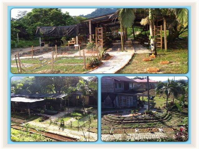 Landskap Kejur Pengenalan | PPT