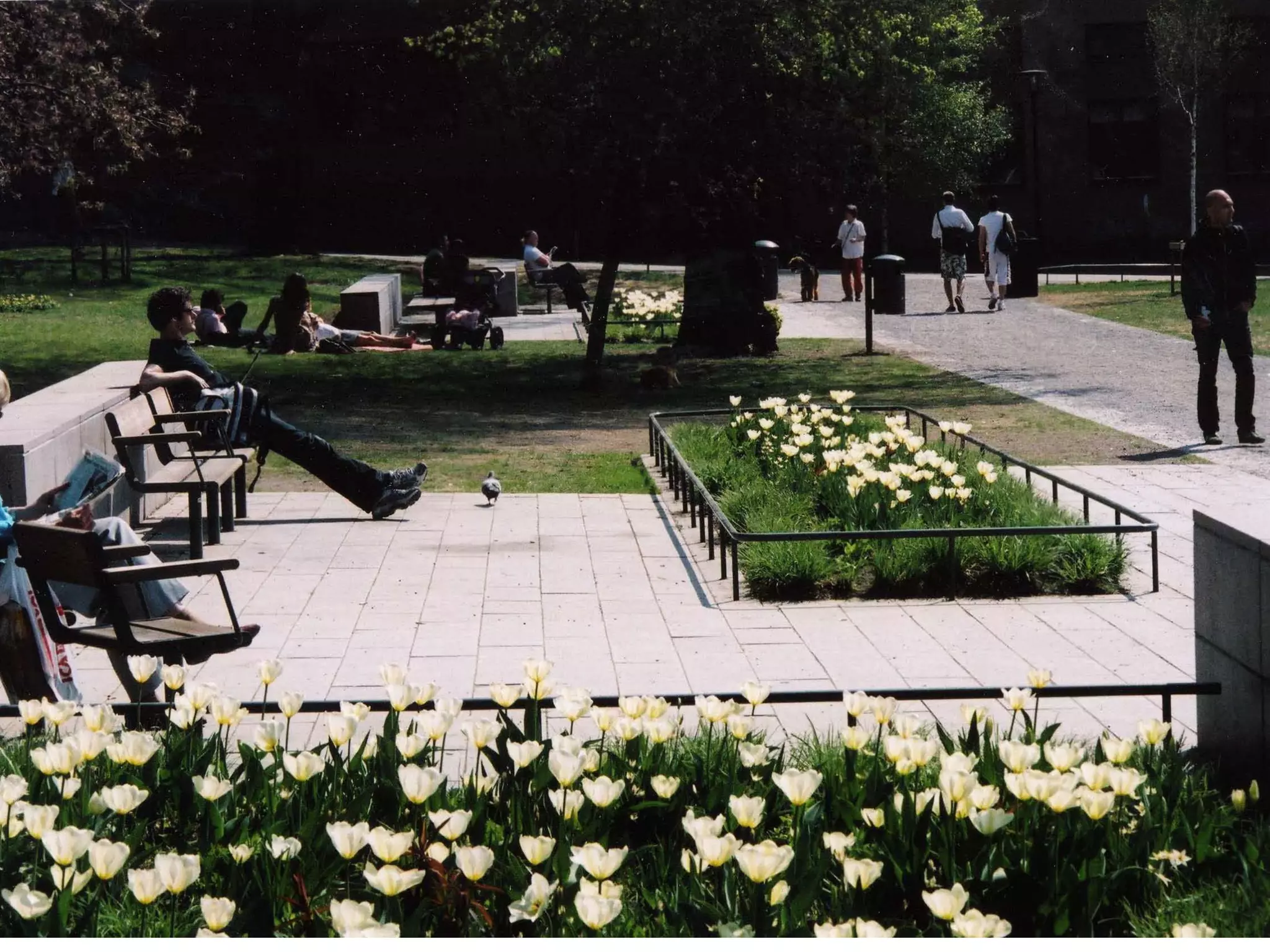 Landskapsarkitektur med spets! land arkitektur | PPT