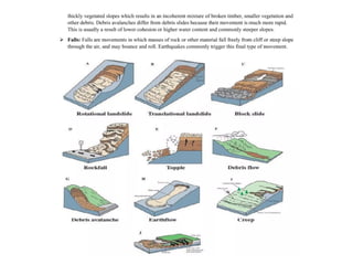 Landslides Disaster Management.pdf