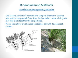 Landslides in the philippines: Assessment of Bioengineering Techniques ...