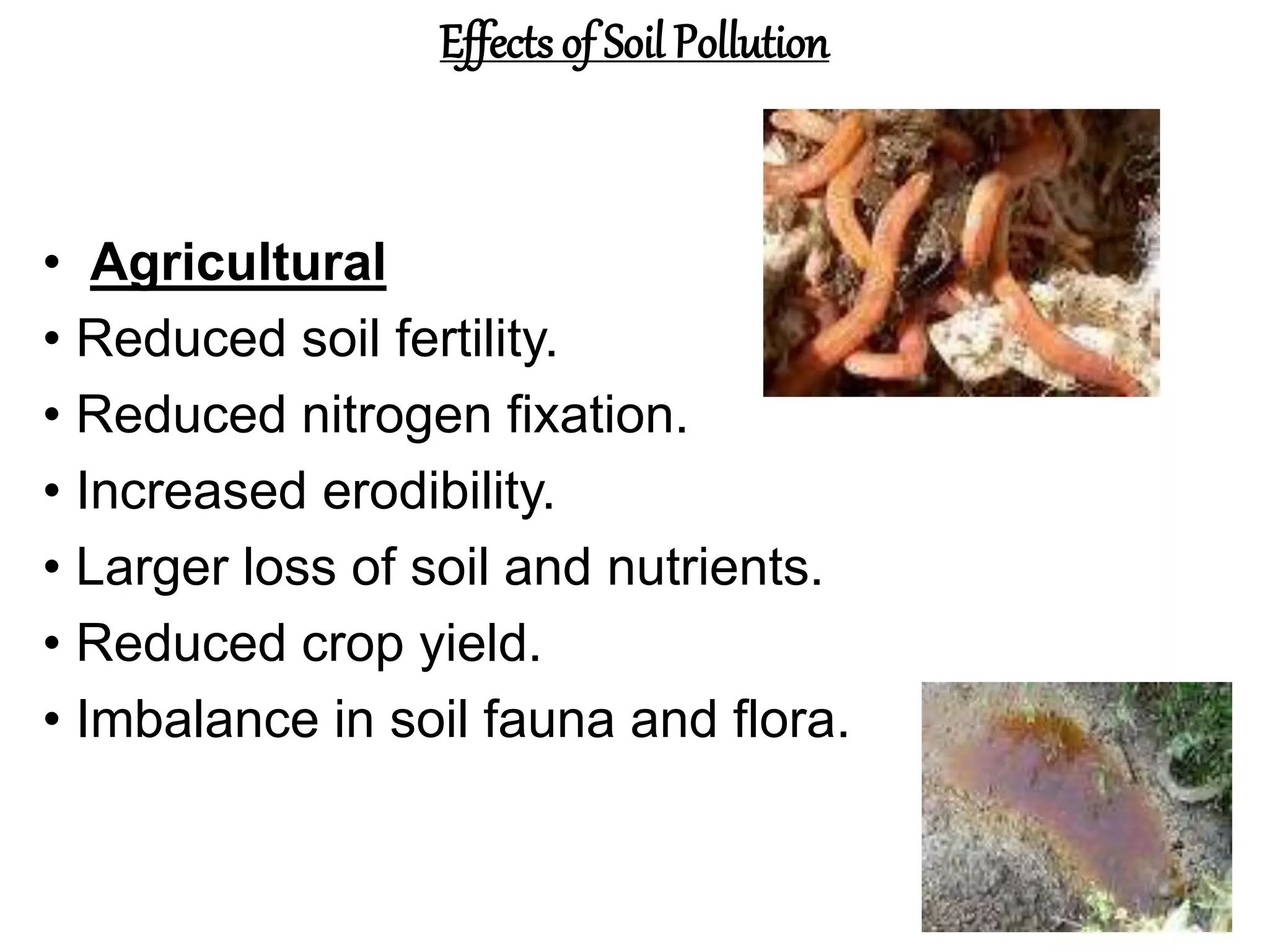 Land (Soil) Pollution lect-4.pptx | Gardening | Home & Garden
