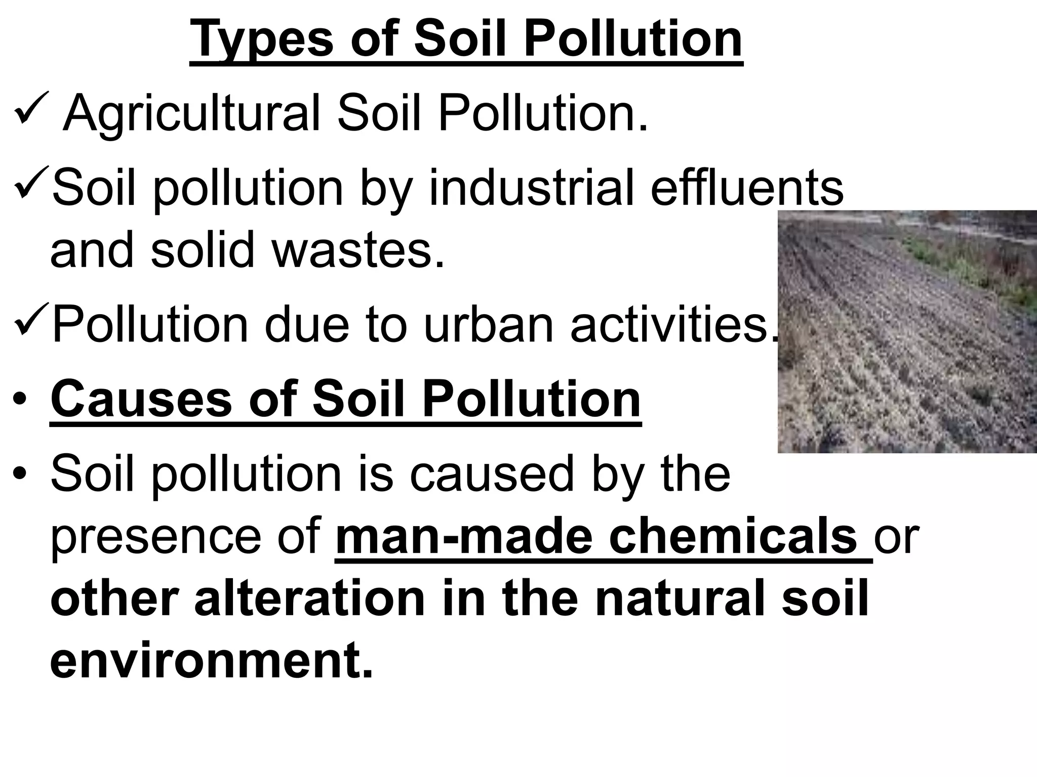 Land (Soil) Pollution lect-4.pptx | Gardening | Home & Garden